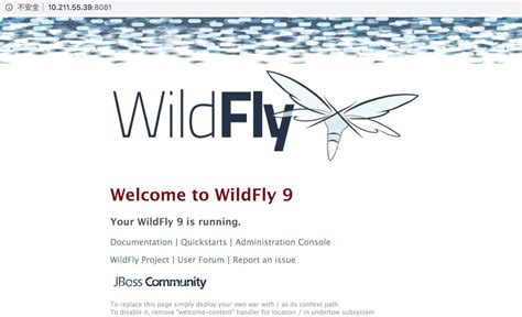 Centos7部署wildfly服务