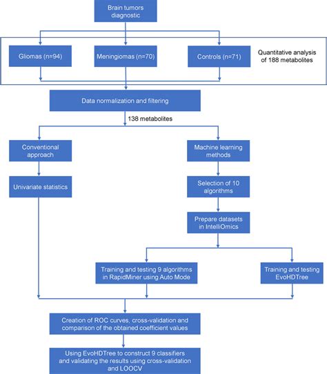 Diagram Showing The Workflow Of The Experiment Download Scientific