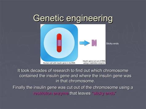 Selective Breeding And Genetic Engineering Ppt