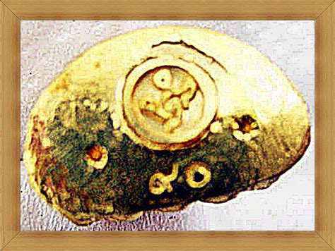 พระกริ่งขอนแก่น 200 ปี เนื้อทองคำ ปี 2540 น้ำหนัก 29 8 กรัม พระเครื่อง พระแท้ Webpra เว็บ พระ คอม