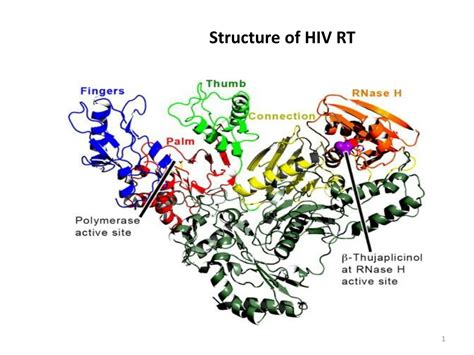 ppt structure of hiv rt powerpoint presentation free download id