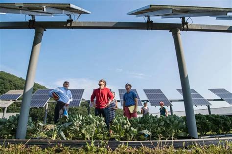 Solar Rebate Nsw 2021 Your Guide To The Nsw Solar Rebate Scheme