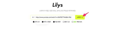 Lilys Ai 유튜브 요약하기