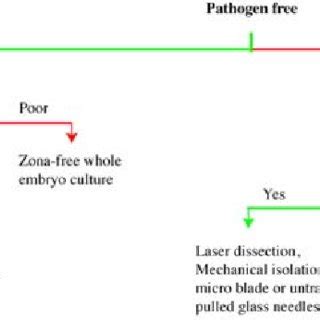 Diagram Of ICM Isolation Method Consideration Download Scientific Diagram
