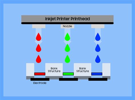 Learn Display 82 Polymer OLED