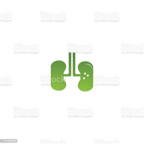 器官徽標範本向量向量圖形及更多人圖片 人 人類內臟 人類消化系統 Istock