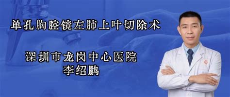 单孔胸腔镜左肺上叶切除术 李绍鹏 外科技术网