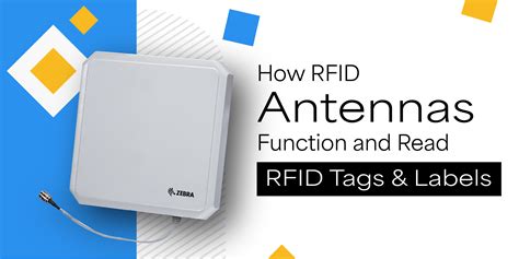 How Rfid Antennas Function And Read Rfid Tags And Labels Rfid4u