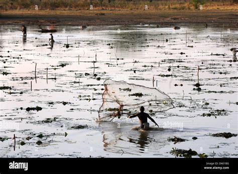 African Men Fishing Throwing Cast Net In A Lake Burkina Faso Africa