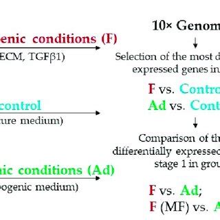 Experimental Design Included Single Cell RNA Seq Genomics Of Download Scientific Diagram