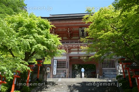 新緑の鞍馬寺 仁王門 京都市左京区鞍馬本町の写真素材 218120646 イメージマート