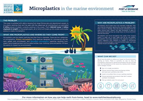 Infographic Resources Reef Check Australia