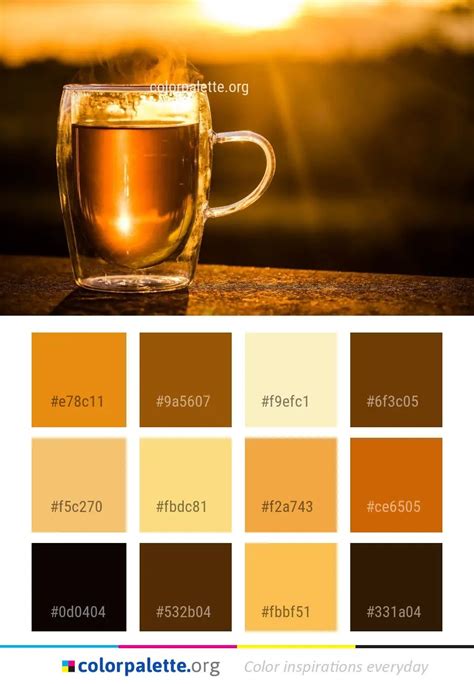 Drink Beer Sunlight Color Palette