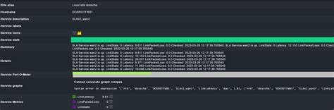 Error Displaying Sla Graph With Fortinet Ip Sla Plugin Only Error For 1 Interface