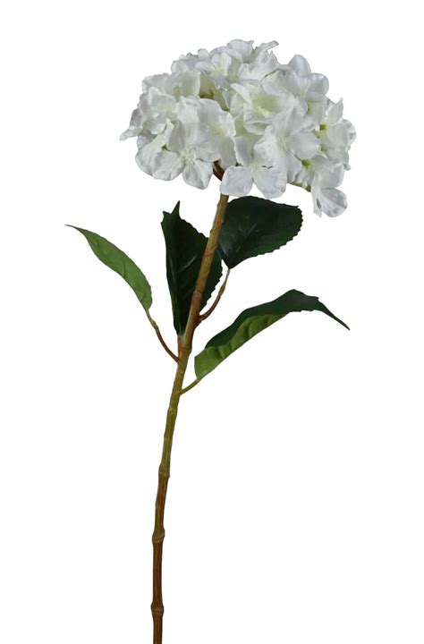 Single Hydrangea Stem 65cm Tall Faux Floral Universal Flower