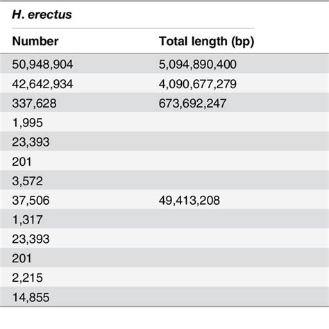 Summary Of Illumina Paired End Sequencing And Assembly For H Erectus Download Table