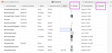 Upload File Field Is Disappearing When Data Is Populated Ask For Help