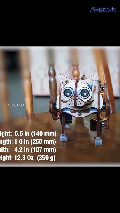 Learn Python Programming Telugu Cat Robot Ai Telugu Youtube