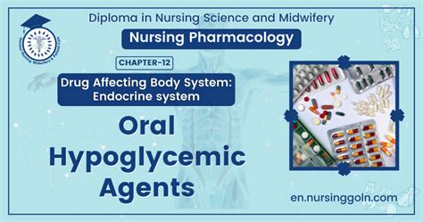 Oral Hypoglycemic Agents Chapter 12 Pharmacology Nursing