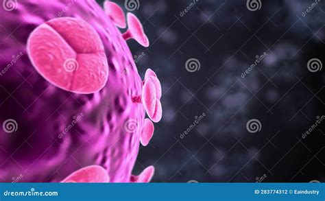 Hiv 1 Virions Contain Two Copies Of A Single Stranded Rna Genome Stock