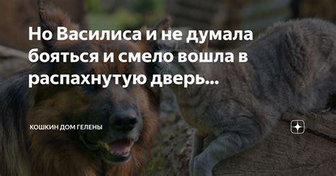 Но Василиса и не думала бояться и смело вошла в распахнутую дверь