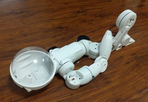 Dizzyrobot Dizzy Robot