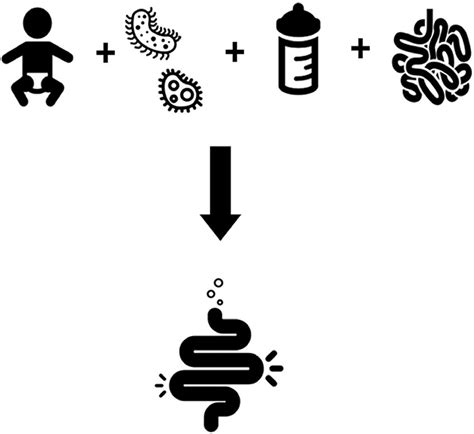 Permeability Microbial Dysbiosis Enteral Feeds With High Osmotic Download Scientific Diagram