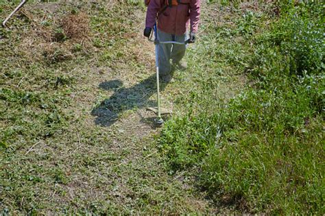 줄거리에서 작업복과 보호용 작업복을 입은 정원사가 여름에 잔디 깎는 기계로 자란 잔디를 자릅니다 고용과 노동에 대한 스톡 사진 및 기타 이미지 Istock