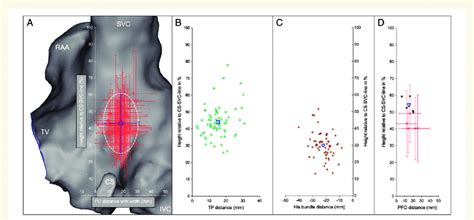 Post Procedural Electroanatomic Guided Analysis The Figure Depicts The Download Scientific