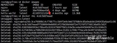 Docker容器和镜像的停止和删除 知乎