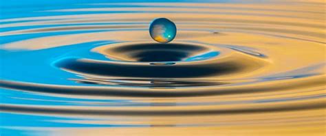 Ryan Carniato Dev Community