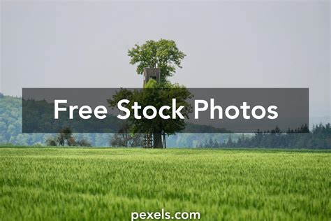 Plain Backround Photos Download The Best Free Plain Backround Stock