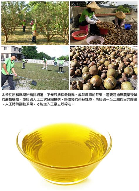 【金椿茶油工坊】紅花大果苦茶油茶葉綠果茶籽油500ml組合 － 松果購物