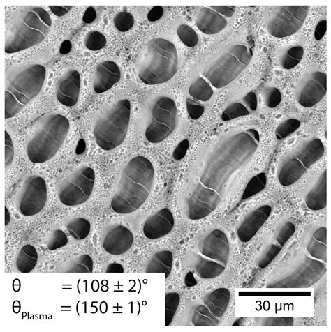 Preparation Of Hierarchically Structured Polystyrene Surfaces With Superhydrophobic Properties