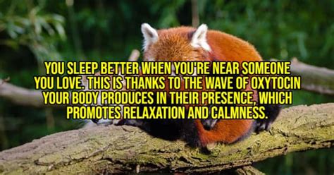 Programmer Memes 25 Relatable Coding Memes For Developers