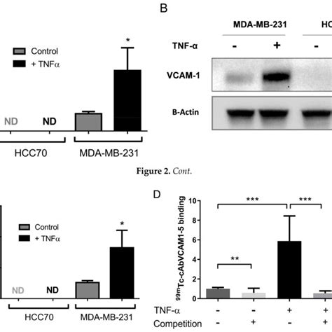 Mda Mb 231 Cells Overexpress Vcam 1 Mrna And Protein Upon Tnf α