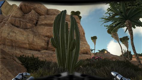 Ark Scorched Earth Rare Flower Farming Best Flower Site