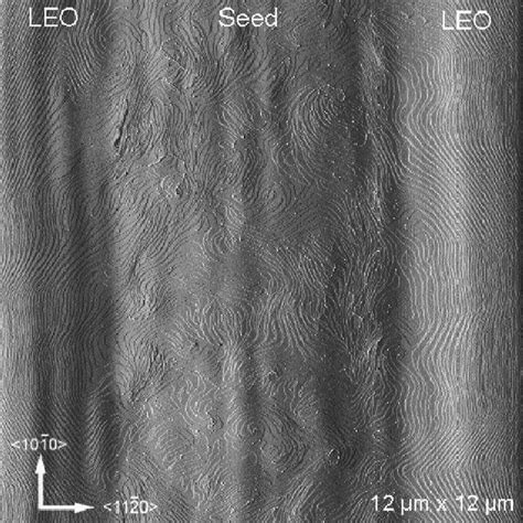 C Surface Topography Measured By Tapping Mode Afm Sample B Height