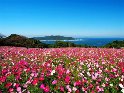 能古島 観光スポット 公式福岡県の観光 旅行情報サイトクロスロードふくおか