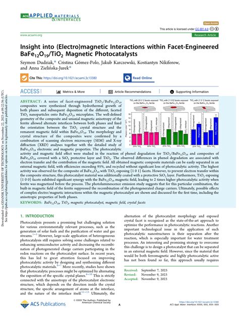Pdf Insight Into Electromagnetic Interactions Within Facet