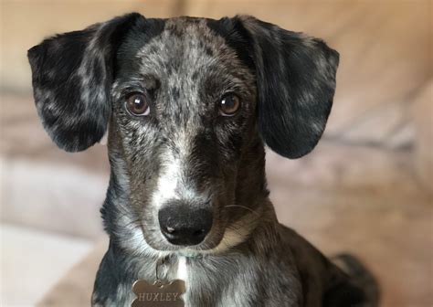 You Dont Have To Be Perfect To Be Amazing