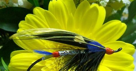 Custom Flies By Vern O The Night Hawk Spey Pages Challenge