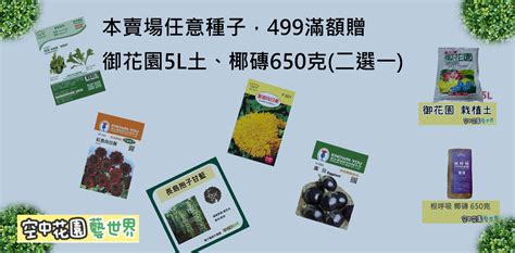 【台灣出貨 電子發票】超甜玉米 種子 菜籽 水耕 玉米 蔬果 家庭園藝 天星牌 空中花園藝世界 V 761 蝦皮購物