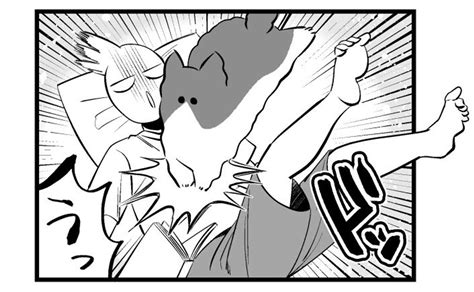 あれってリアルな表現だったのか！ 平和な日常に猫が持ち込む「アクション漫画」のエッセンス全文表示｜jタウンネット