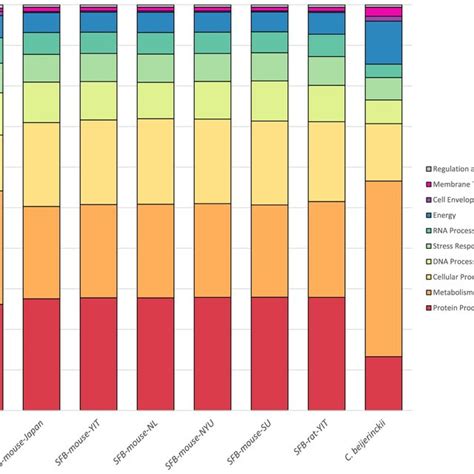 Subsystems Assignments Of Seven Strains Of Segmented Filamentous