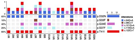 Allelic Distribution Of Ctnnb1 In Tumor Samples Oncoprint Depicts
