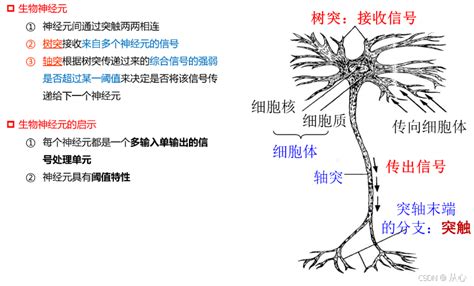 机器学习（五） 监督学习（8） 神经网络1 矩阵和向量相乘 本质上就是对向量的坐标空间进行一个变换 csdn博客