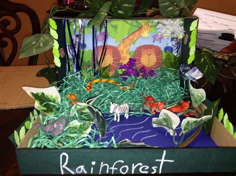Rainforest Habitat Diorama Project 1st Grade Nicos Diorama Project