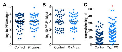 Penicillium Chrysogenum Does Not Modulate Denv Infection In Aedes
