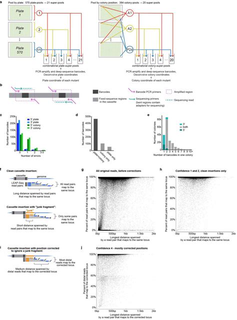 Combinatorial Pooling Barcode Deconvolution To Colony And